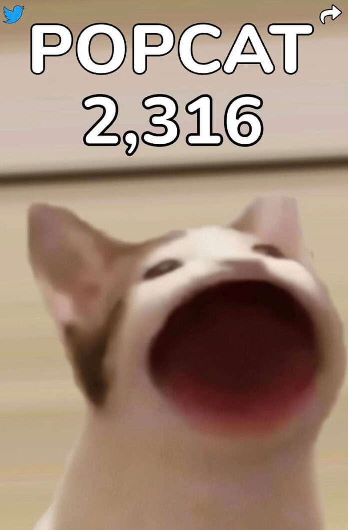 网友分享6个关于POPCAT的有趣冷知识！网友笑趴：工程师很顽皮！