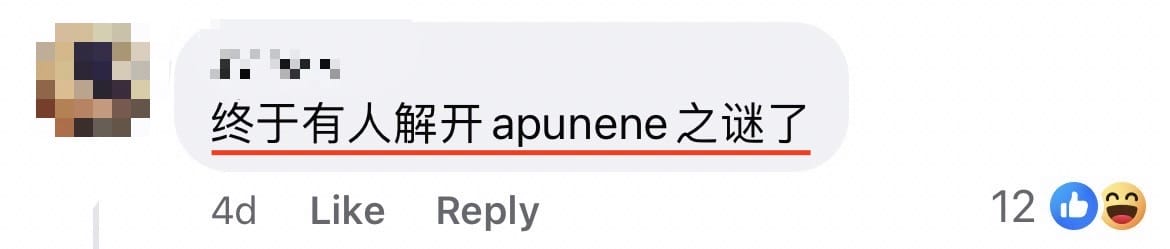 大马网红印裔老师亲揭「Abunene」真正的意思！